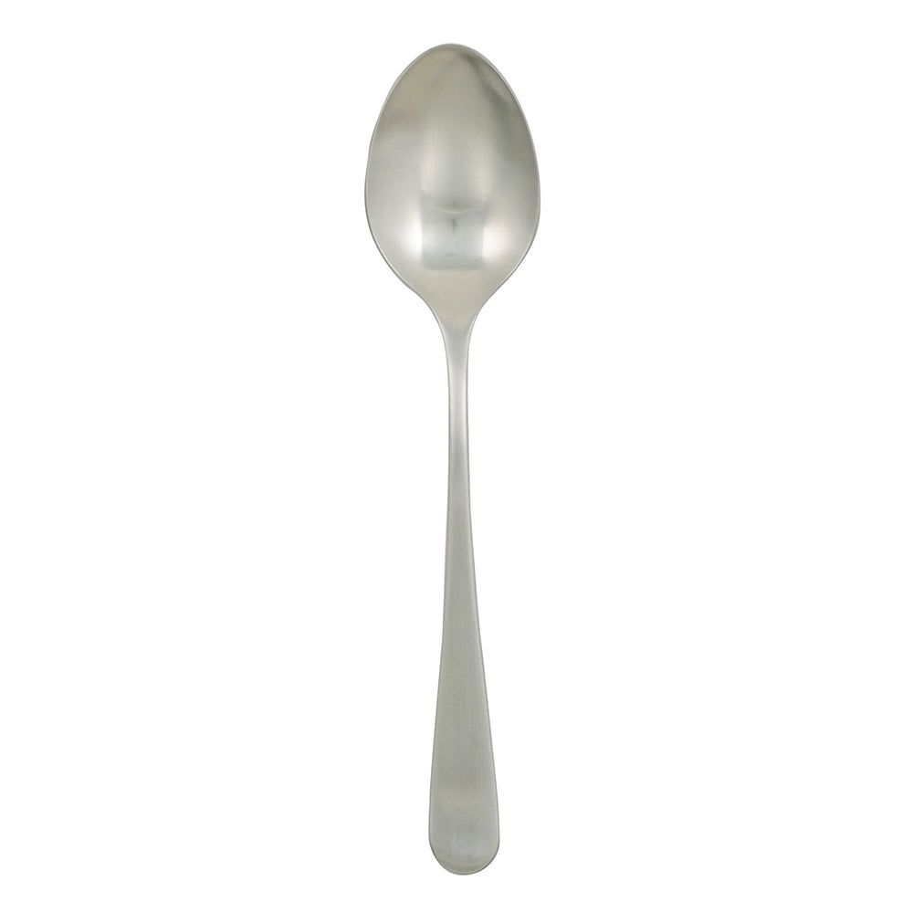 Ginkgo International Select Collection Millennium Satin Serving Spoon ...